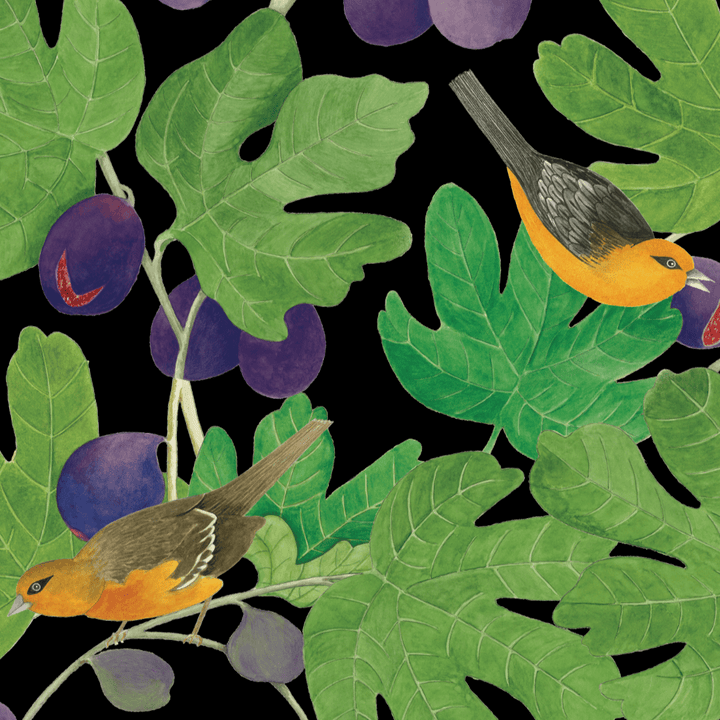 Figs & Birds – MANOLO WALLS