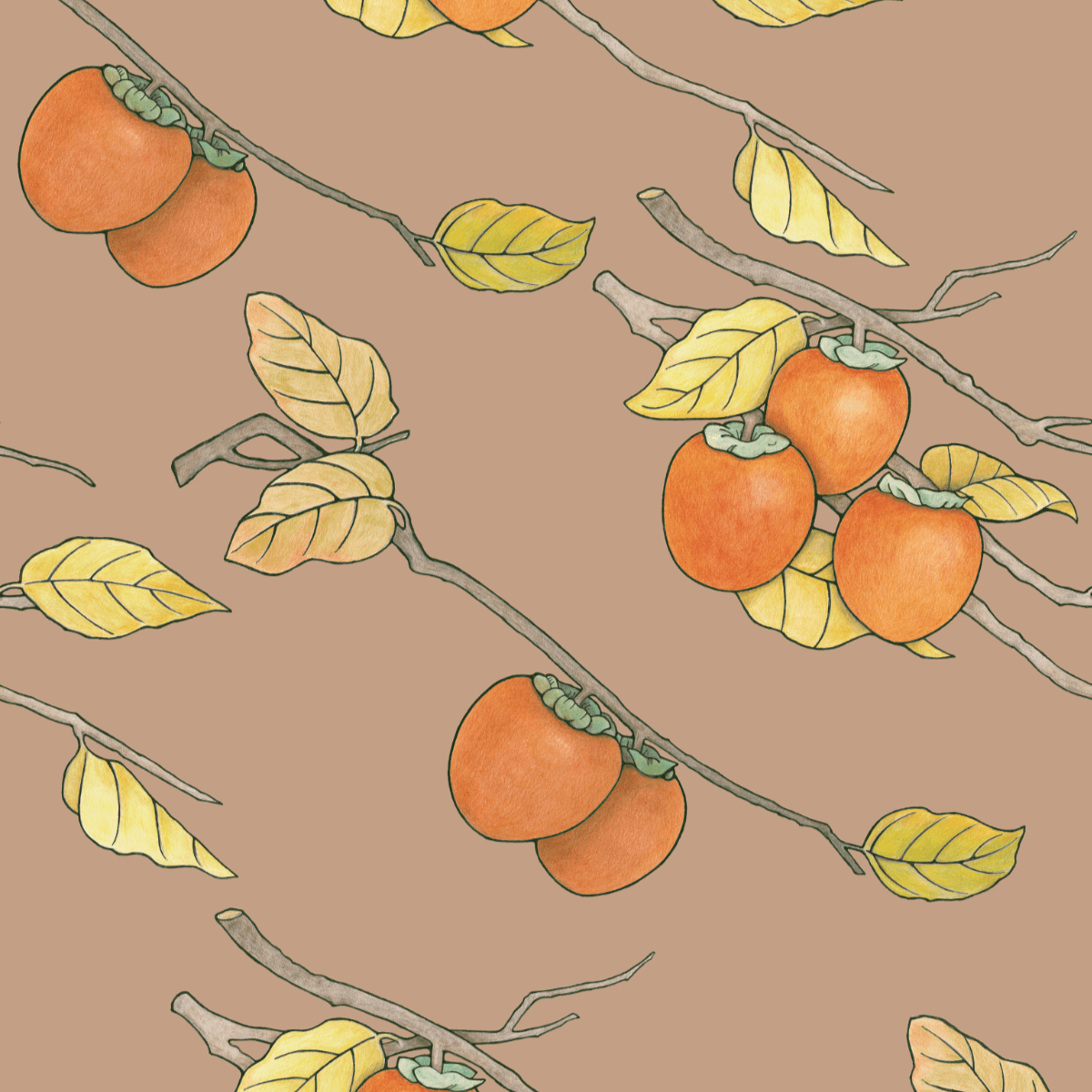 Persimmon – MANOLO WALLS